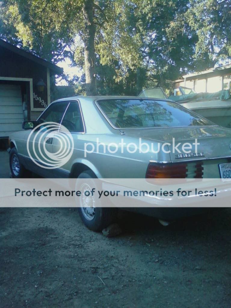 Can anyone show me another one like this?! | Mercedes-Benz Forum